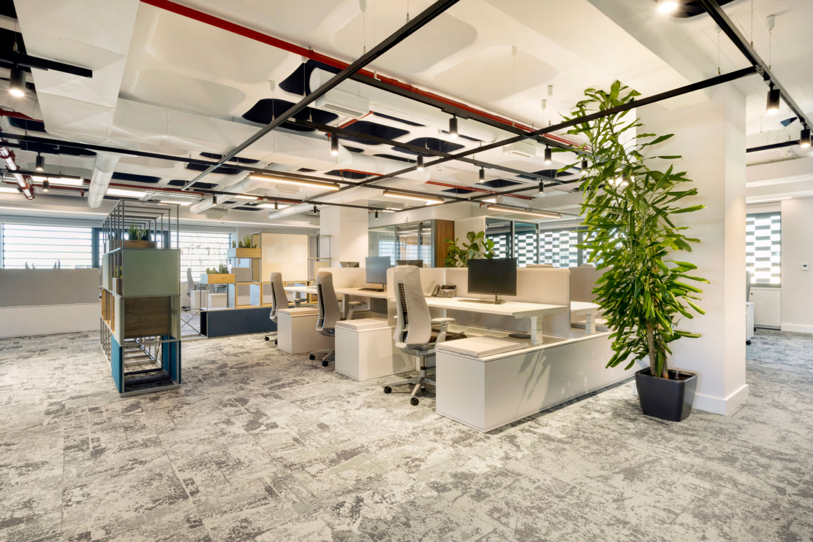 Φαρμακευτική Εταιρεία - Asset Interiors
